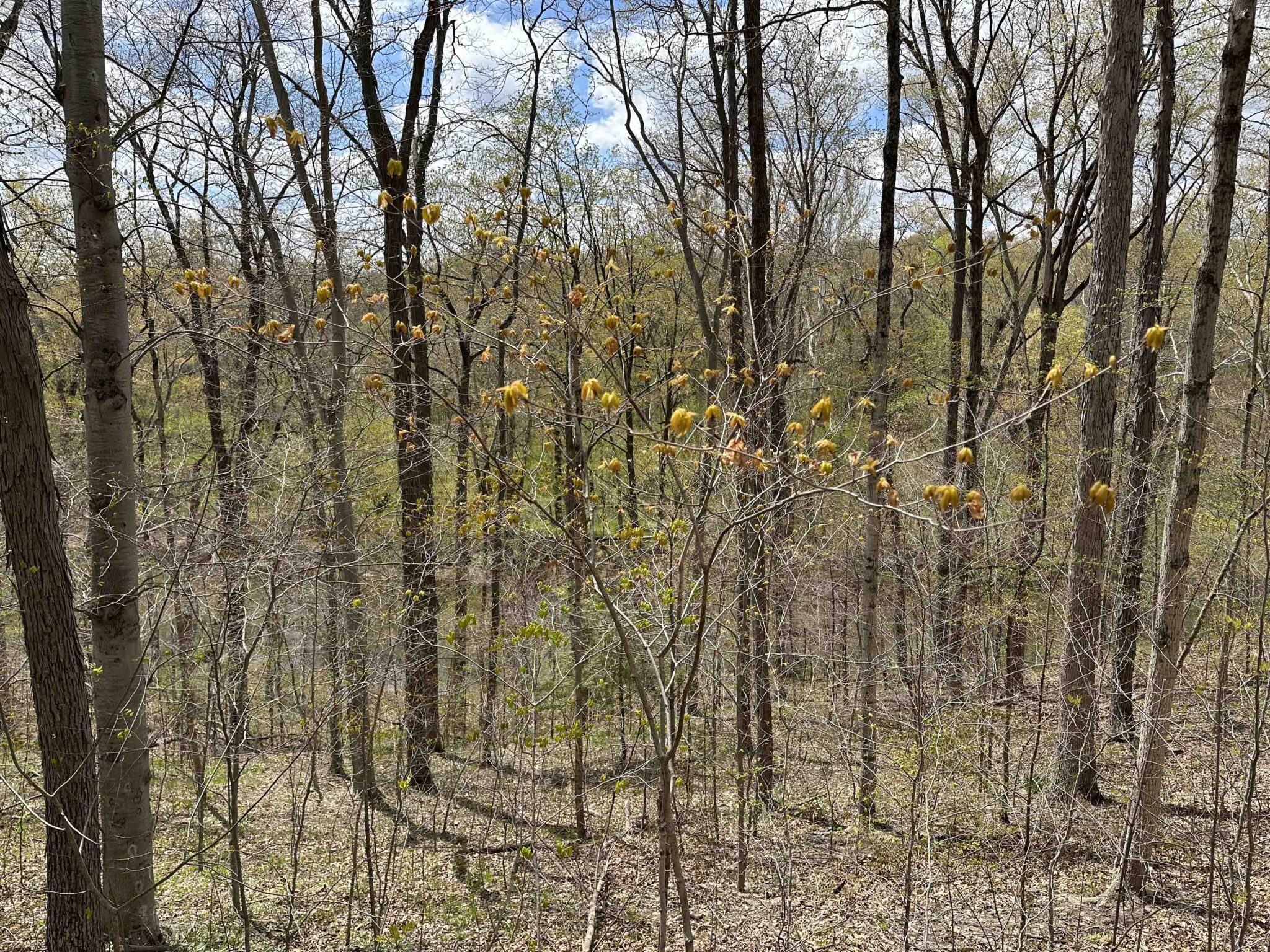 Tom and Jane Dustin Nature Preserve - Live Like Karlie