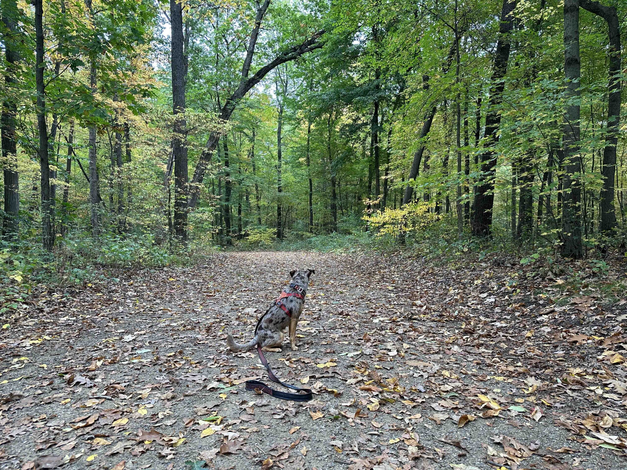 Ott Biological Preserve Live Like Karlie