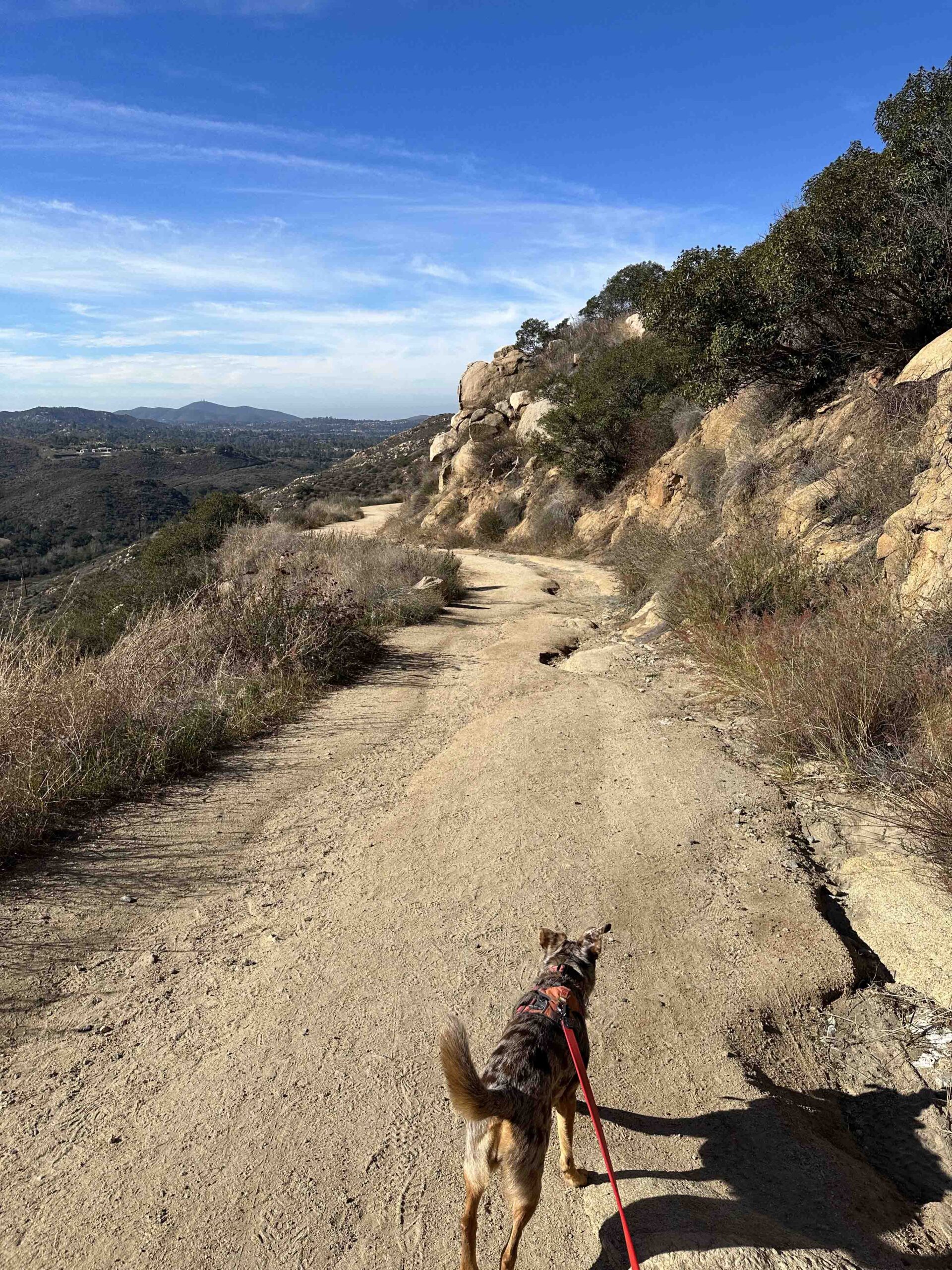 Lake Ramona Trail - Live Like Karlie