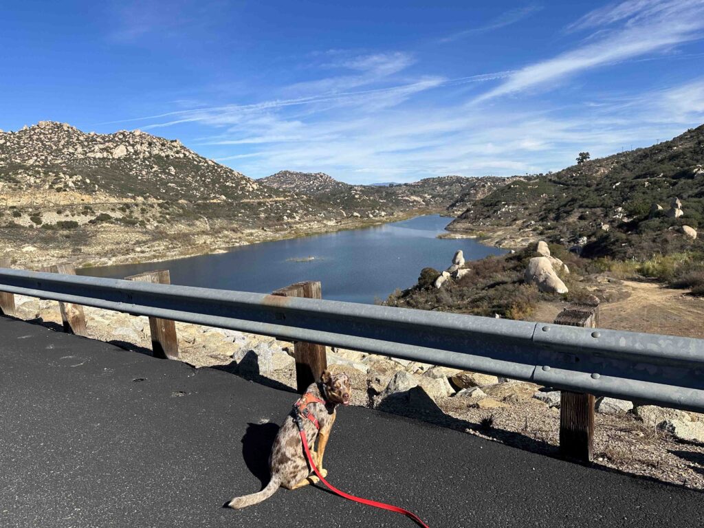 Lake Ramona Trail - Live Like Karlie