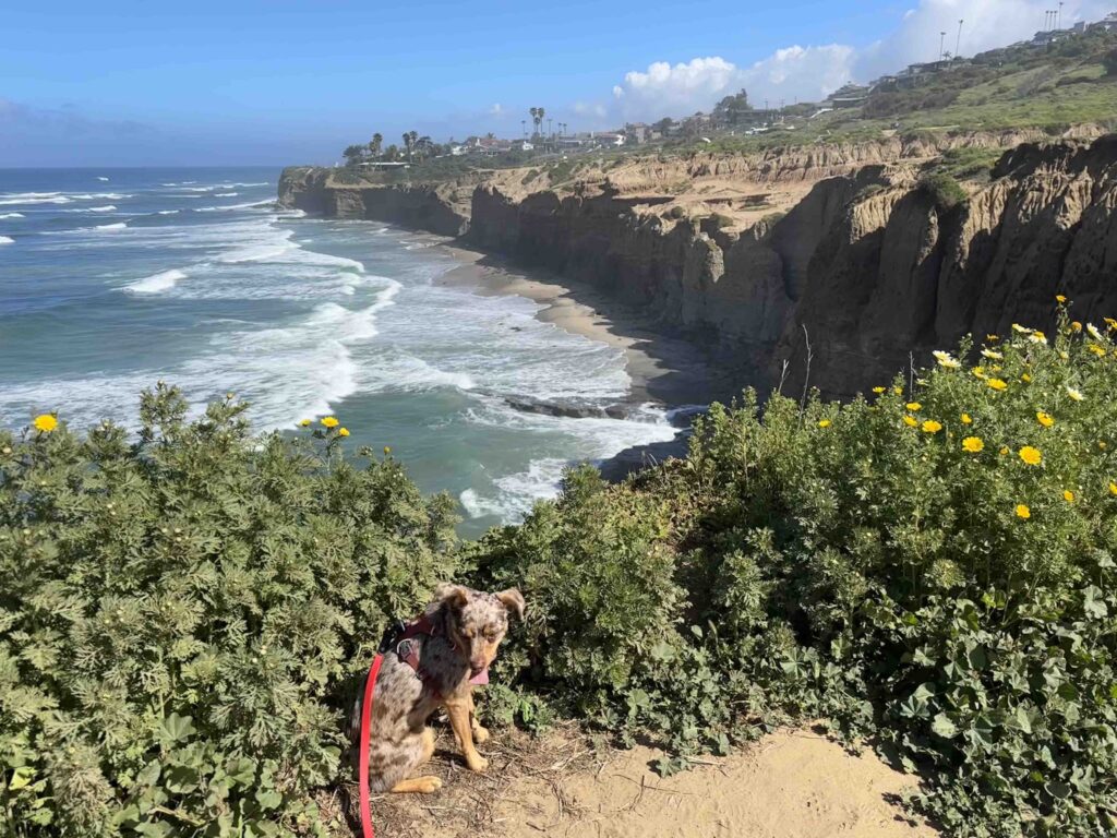 Sunset Cliffs Natural Park - Live Like Karlie