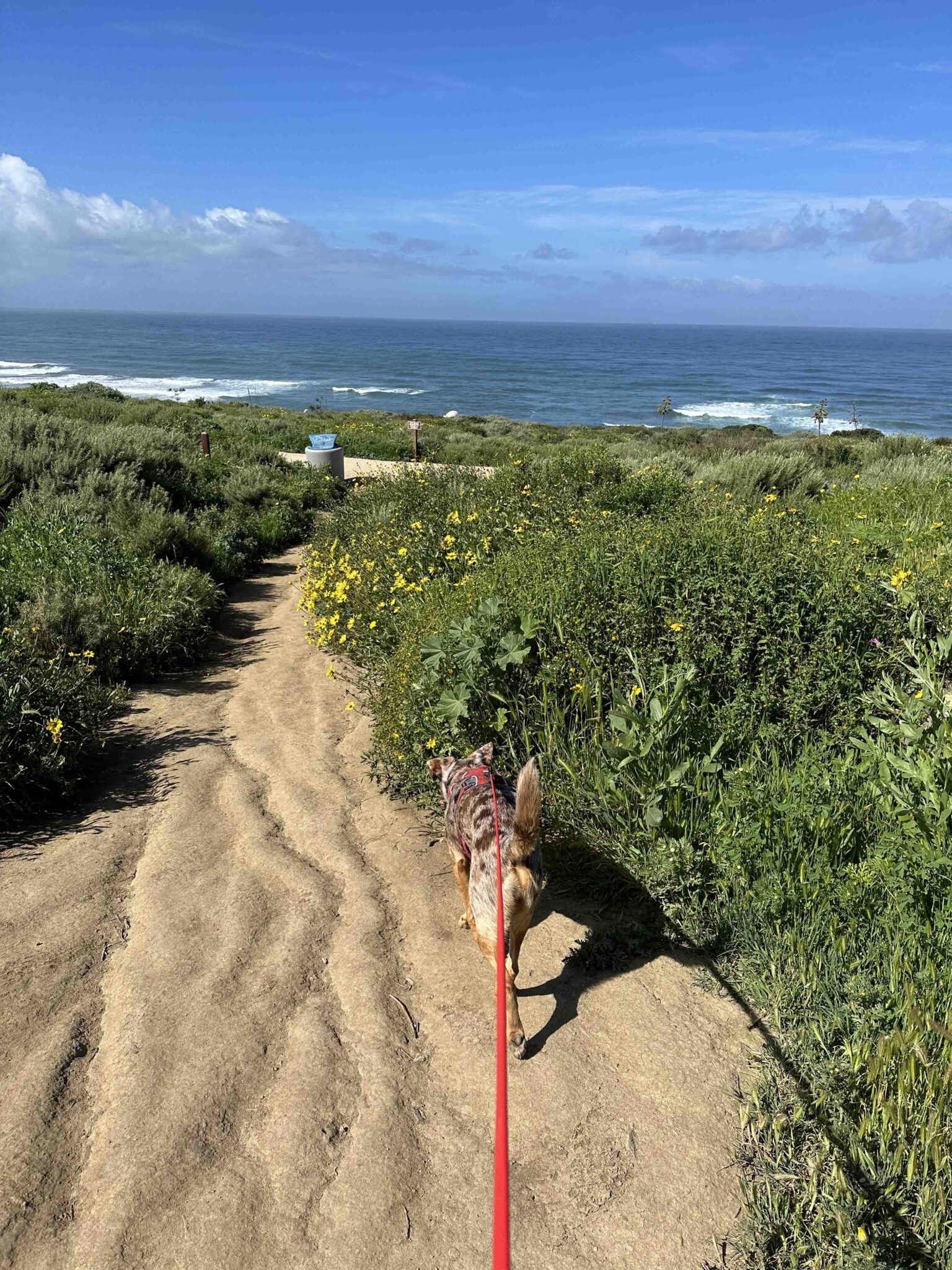 Sunset Cliffs Natural Park - Live Like Karlie